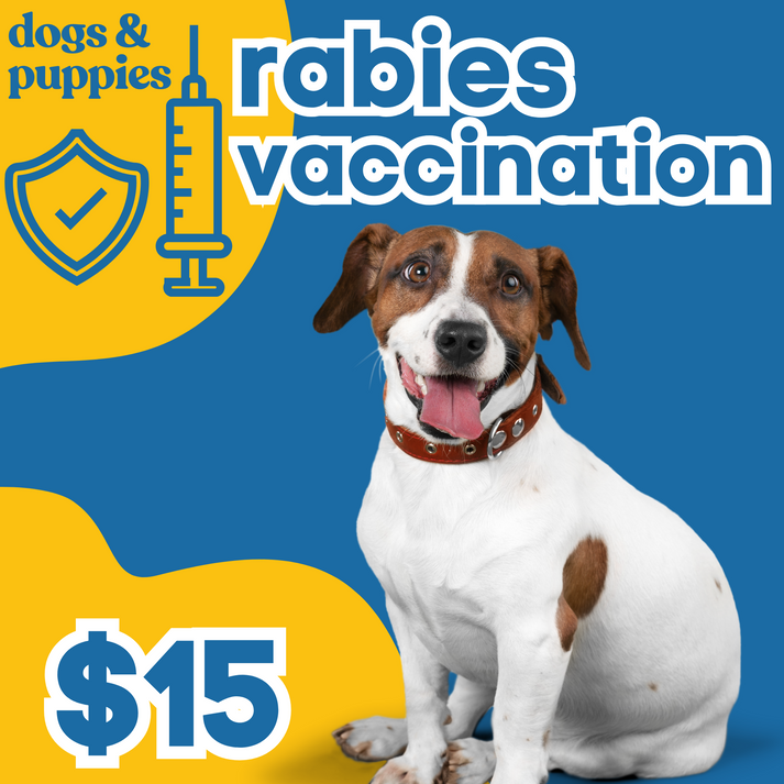 Rabies Vaccination (1 Year) | Dogs – pop-up pet vax
