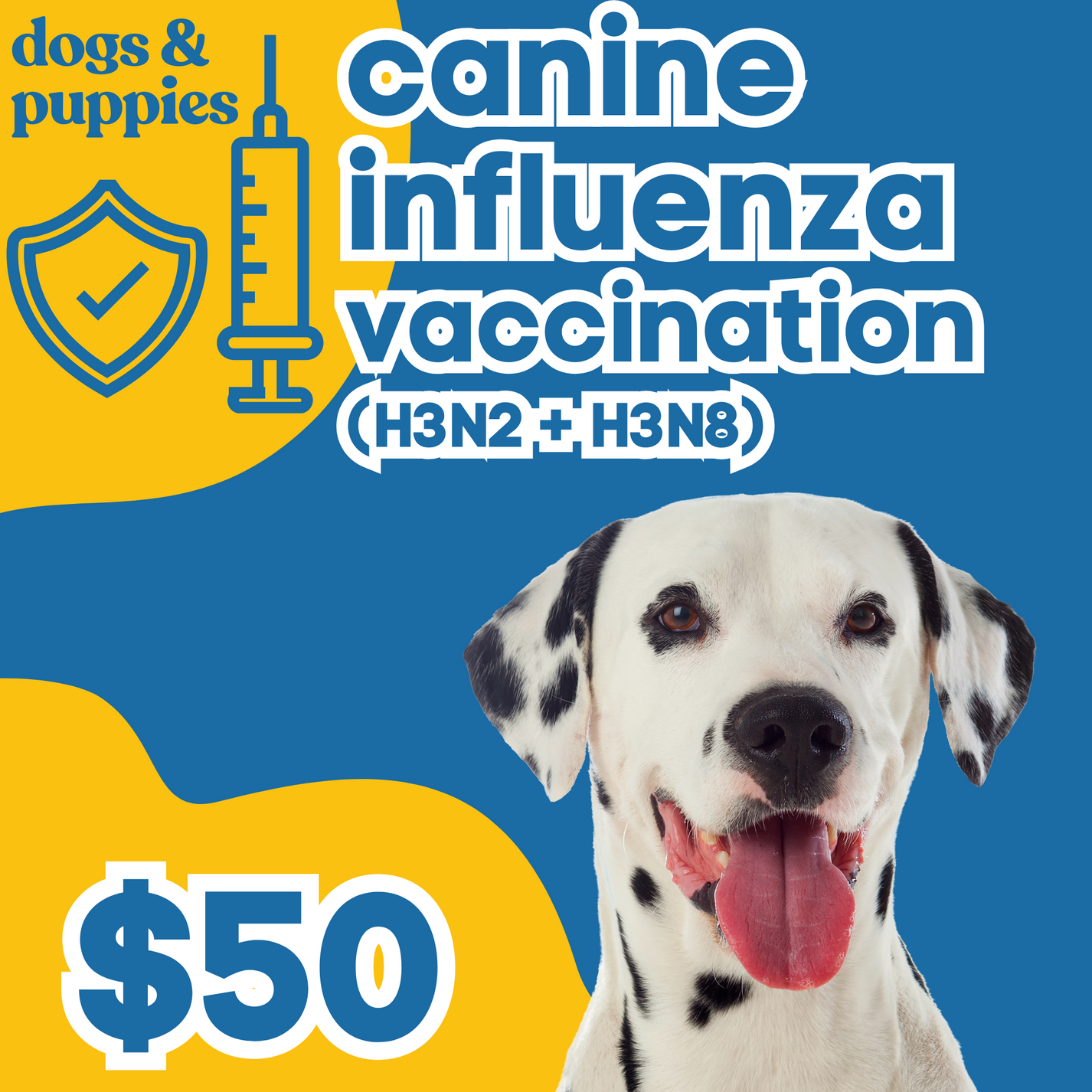 Canine Influenza Vaccination (H3N2) | Dogs – pop-up pet vax